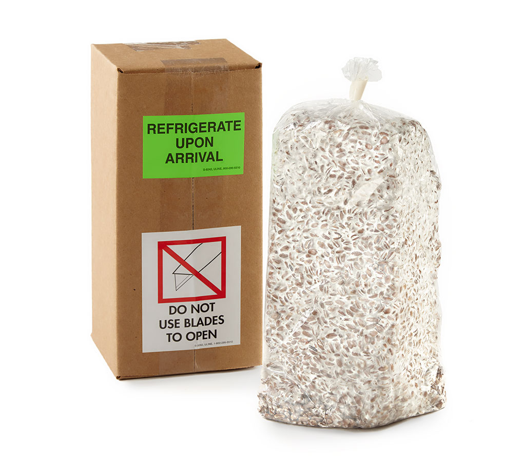 Cubensis Magic Mushroom Spawn Bags - Single Box/Carton